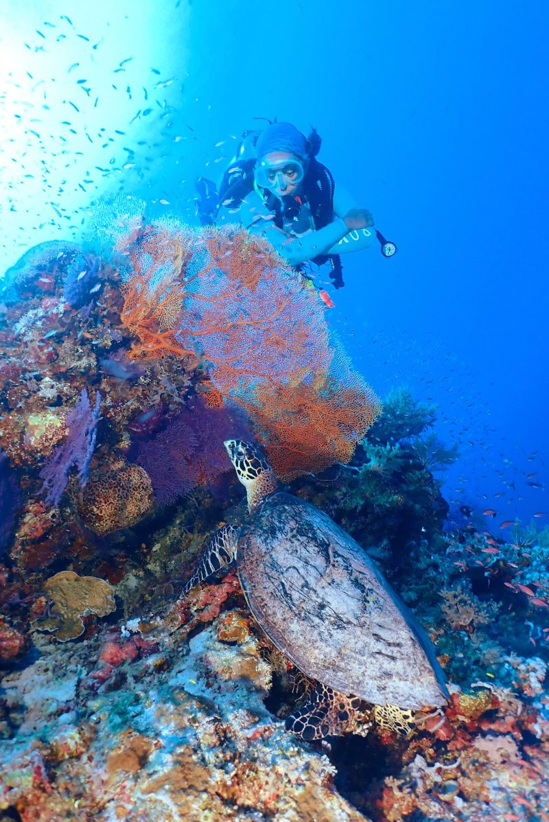 Against all odds, we continue to protect our happy place—Tubbataha ...