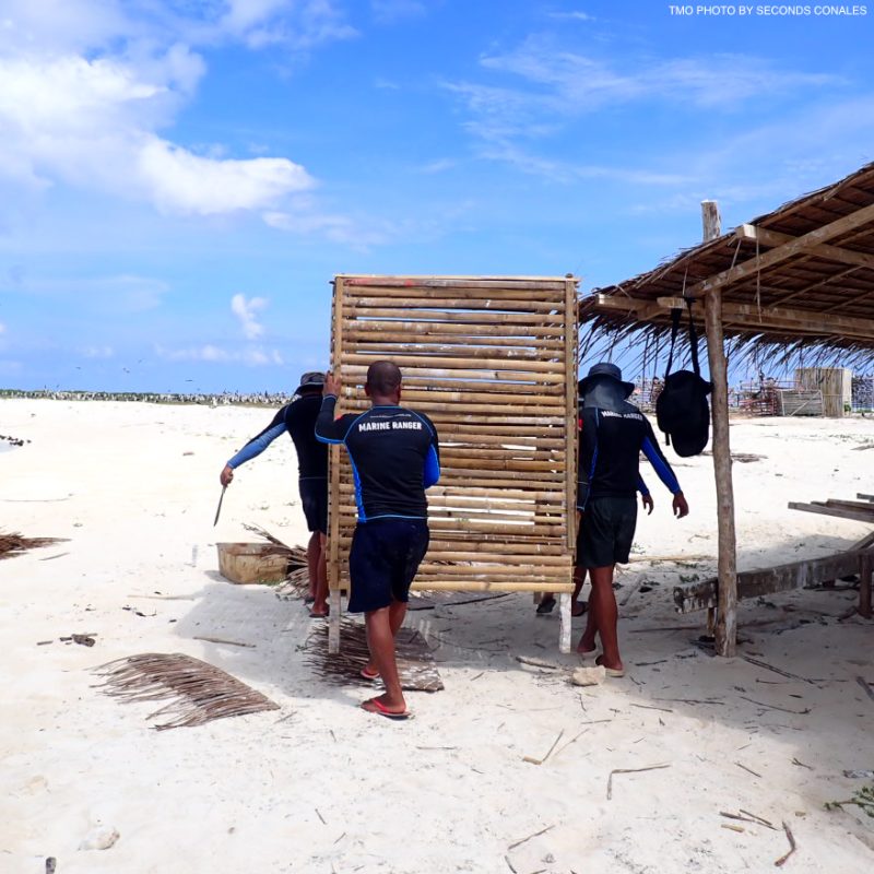 Against all odds, we continue to protect our happy place—Tubbataha ...